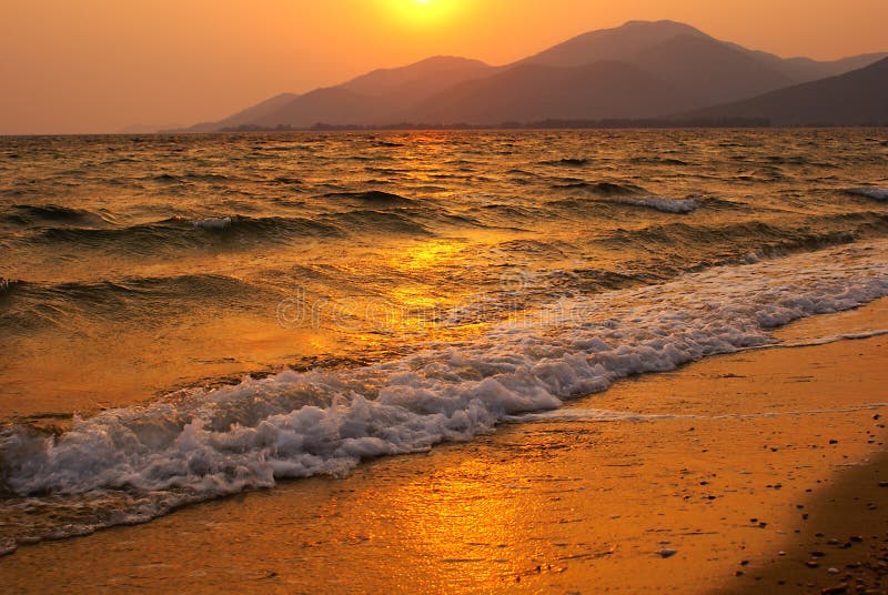 Gold sunset stock photo. Image of dark, shoreline, coast - 3260692