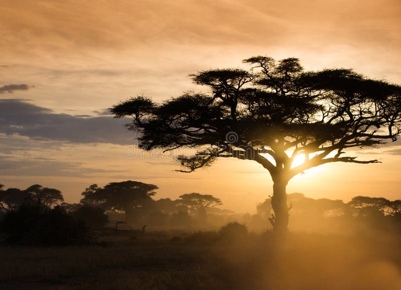 Red-Gold Sunset stock image. Image of gold, australia - 1235695