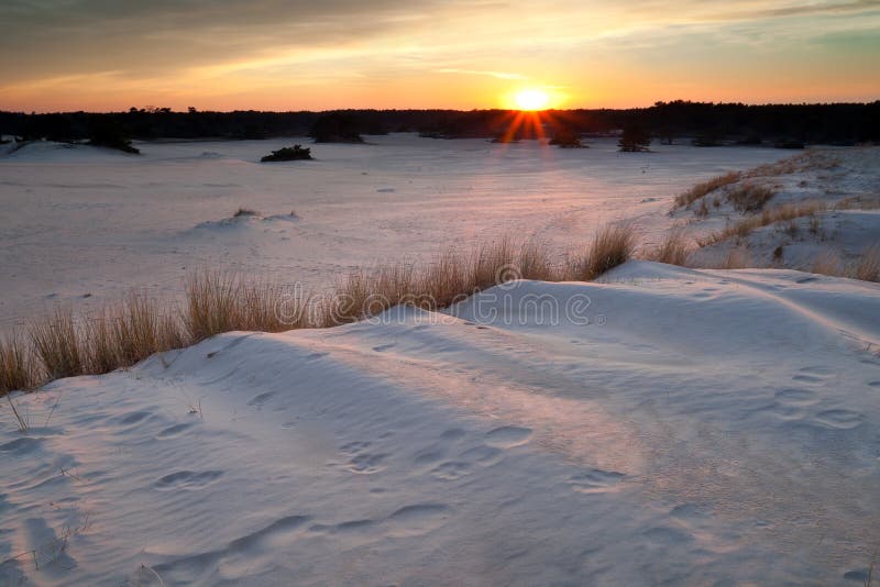 Gold Sunset Over Sand Dunes Stock Image - Image of sundown, dune: 38403039