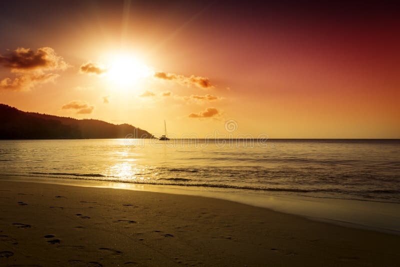 Gold Sunset on the Sand Beach Stock Image - Image of landscape ...