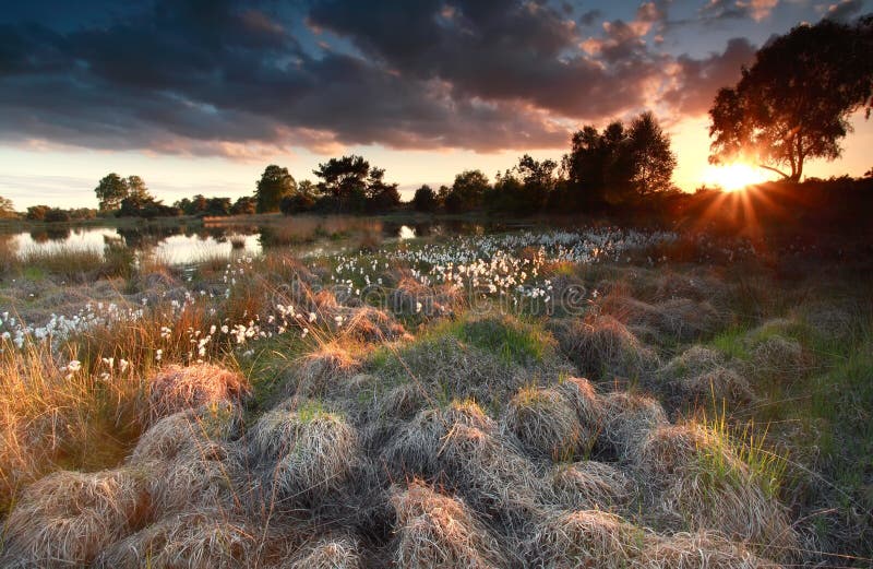 Red-Gold Sunset stock image. Image of gold, australia - 1235695