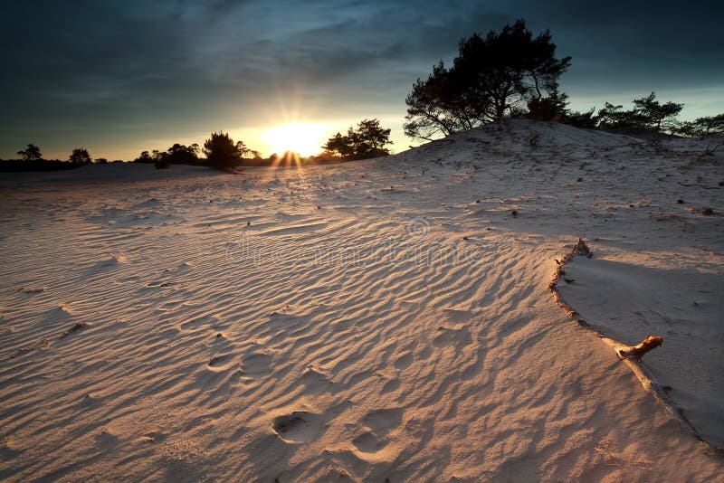 Gold Sunshine Over Sand Dunes Stock Photo - Image of scenic, sundown ...