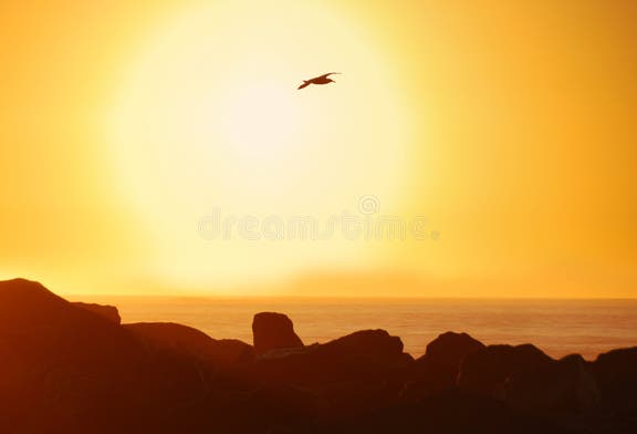 Gold Surf stock image. Image of surf, sunset, splash - 27097611