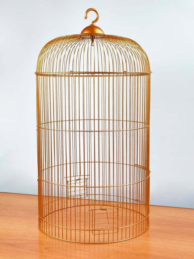 Gold Tall Metal Bird Cage with Hook on Red Table. Front View of ...
