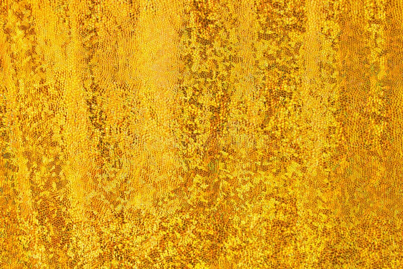 287 Gold Snakeskin Texture Stock Photos - Free & Royalty-Free Stock ...