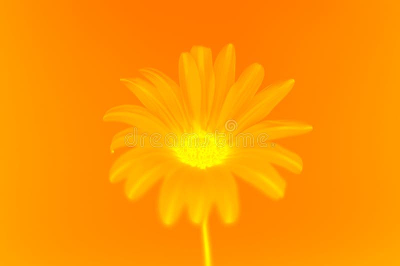 Gold theme stock illustration. Illustration of color, texture - 464018