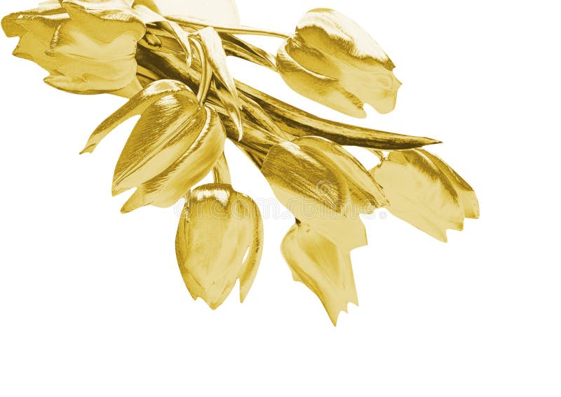 Gold Tulips on a Black Backround Seamless Vector Horizontal Striped ...