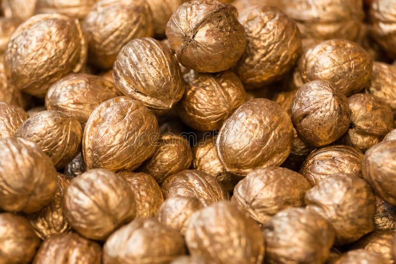 Gold walnut stock photo. Image of snack, shell, dried - 38164512