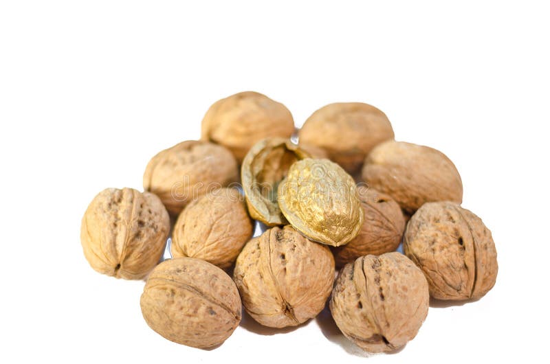 407 Gold Nut Walnut Shell Stock Photos - Free & Royalty-Free Stock ...