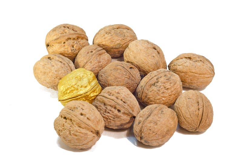 407 Gold Nut Walnut Shell Stock Photos - Free & Royalty-Free Stock ...