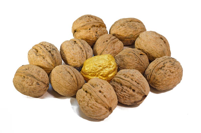 Gold Walnut among of Usual Walnuts Stock Photo - Image of core, pile ...