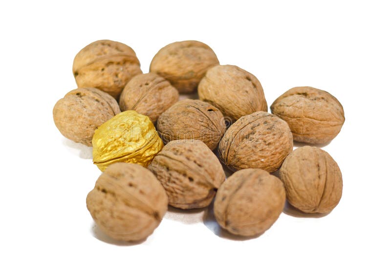 Gold walnut stock photo. Image of snack, shell, dried - 38164512