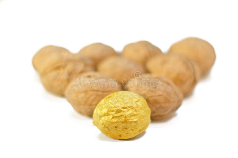 Gold walnut stock photo. Image of snack, shell, dried - 38164512