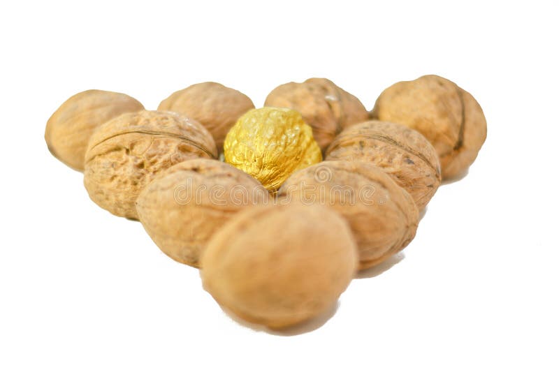 Gold Walnut among of Usual Walnuts Stock Photo - Image of core, pile ...