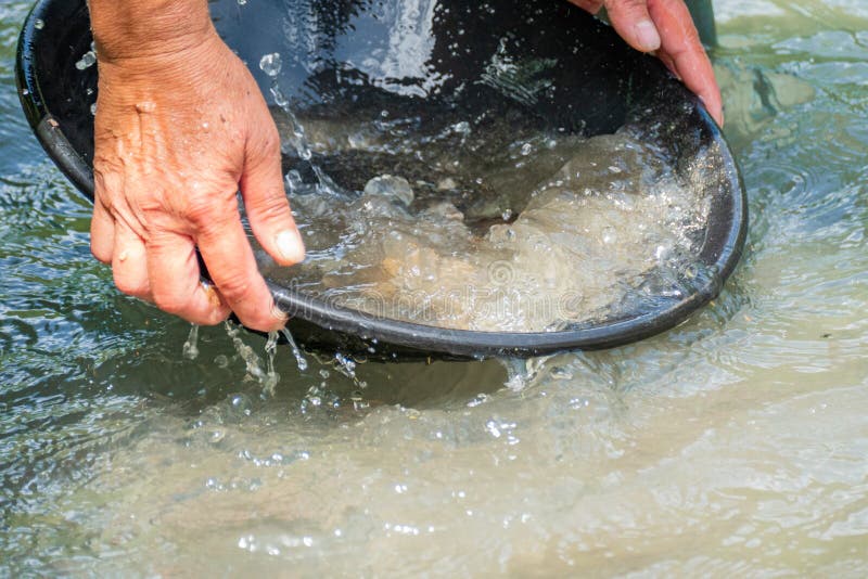 Gold washing in the river stock image. Image of gemstone - 119619685
