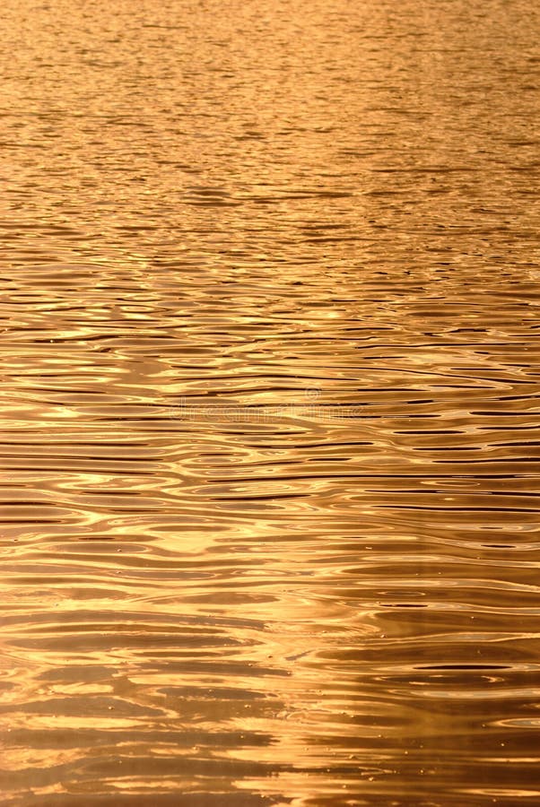 Gold Water and Sunset for Backgrounds Stock Photo - Image of ripply ...