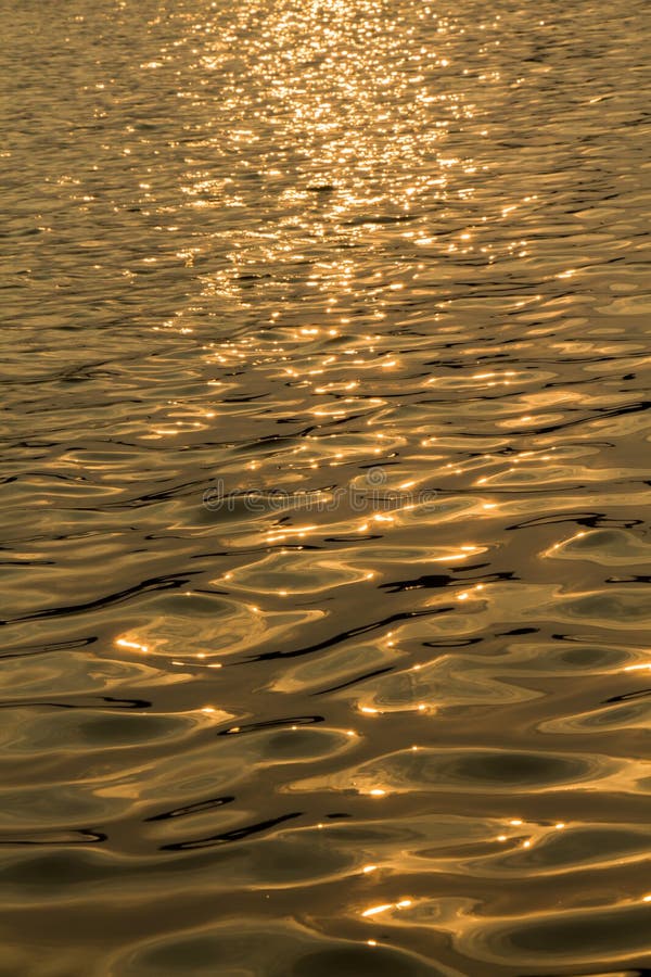 Gold water surface stock photo. Image of season, scene - 39403362