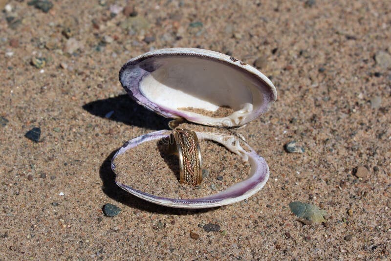 A Gold Wedding Ring with a Braided Pattern Inside a Shell on the Sand ...