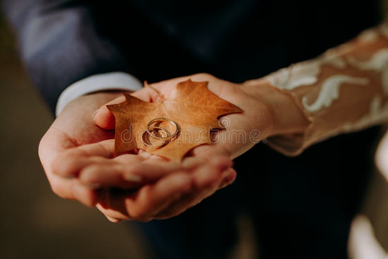 Gold Wedding Rings on Autumn Leaf Stock Photo - Image of family, bridal ...