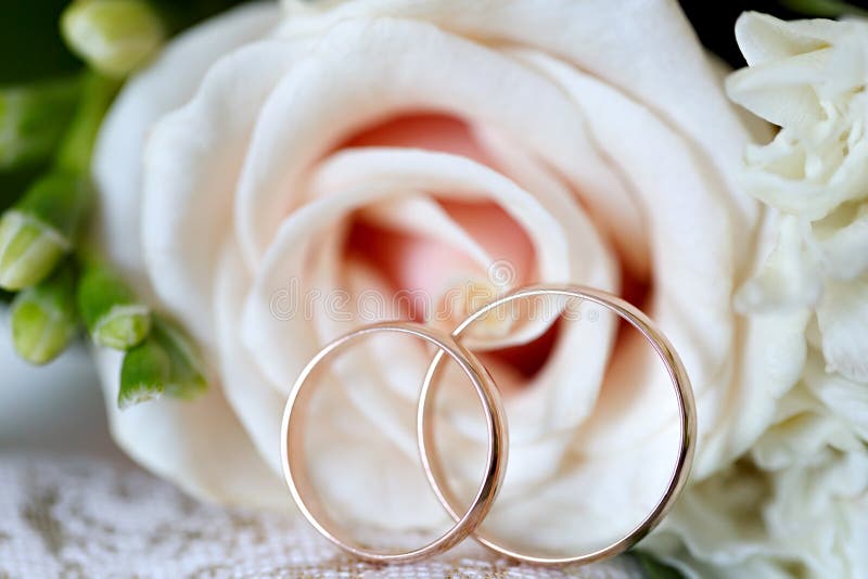 Gold Wedding Rings on Bouquet of Flowers for the Bride Stock Image ...