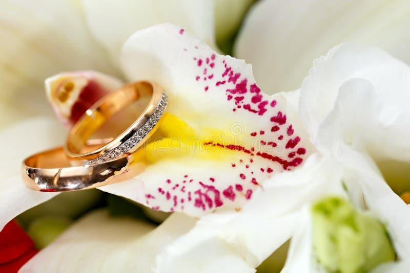 Gold Wedding Rings on Bouquet of Flowers for the Bride Stock Image ...