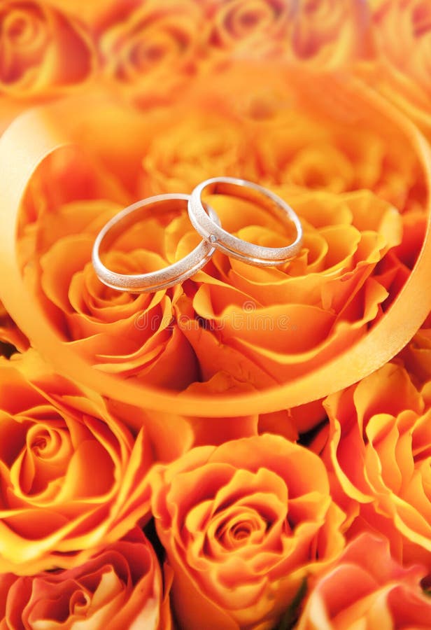 Gold Wedding Rings on the Orange Roses Stock Photo - Image of heart ...