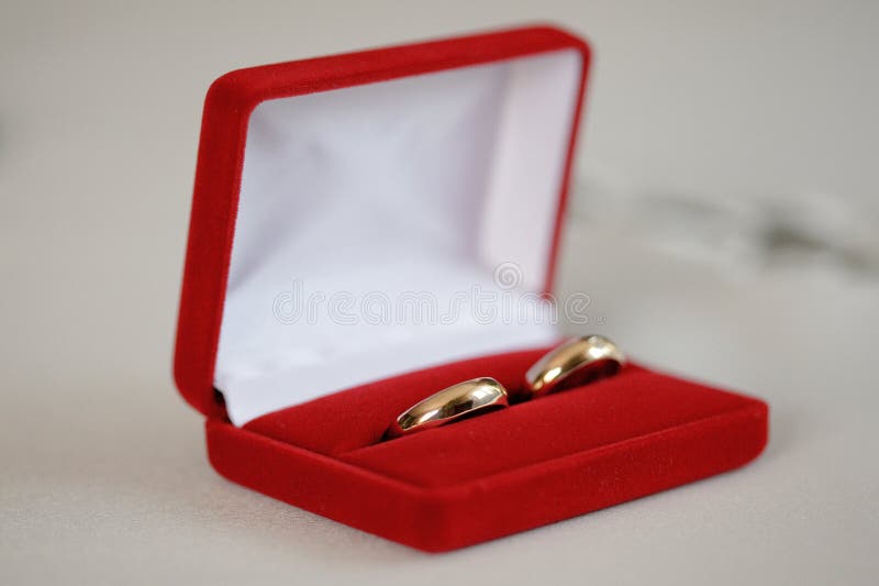 Gold Wedding Rings in a Red Case. Stock Photo - Image of wedding, case ...