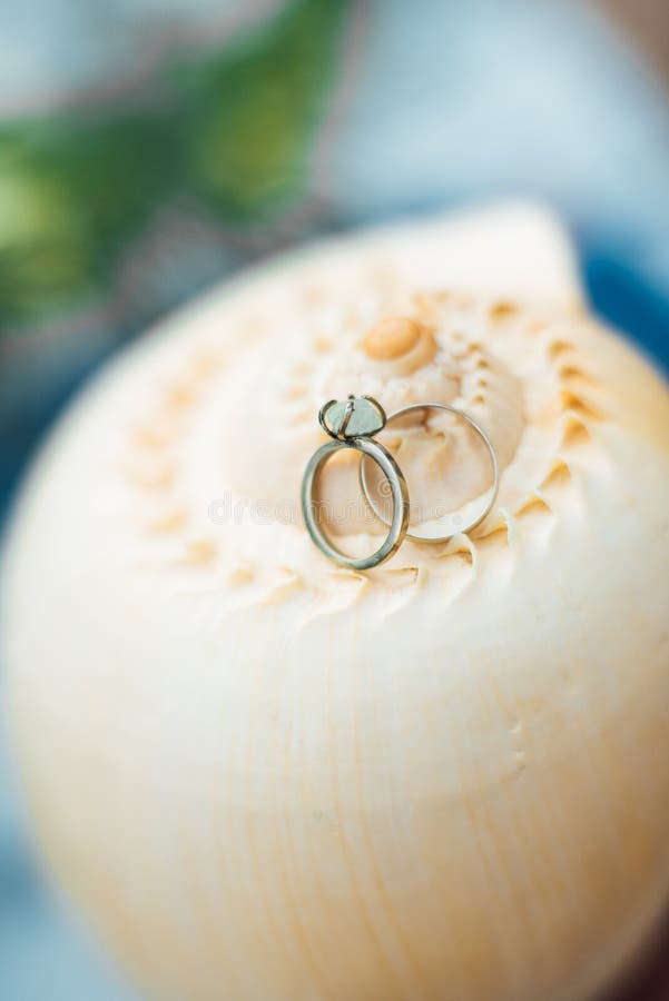 Gold Wedding Rings on the Sea Shell Stock Image - Image of rings ...