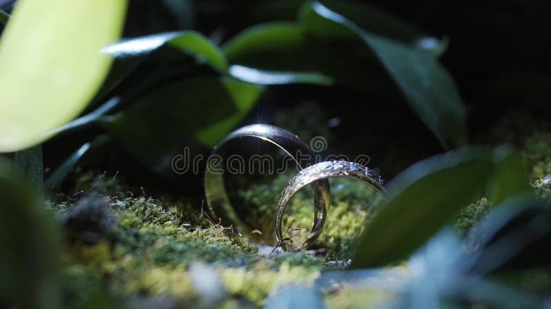 Gold Wedding Rings in the Smoke. Stock Video - Video of macro, party ...