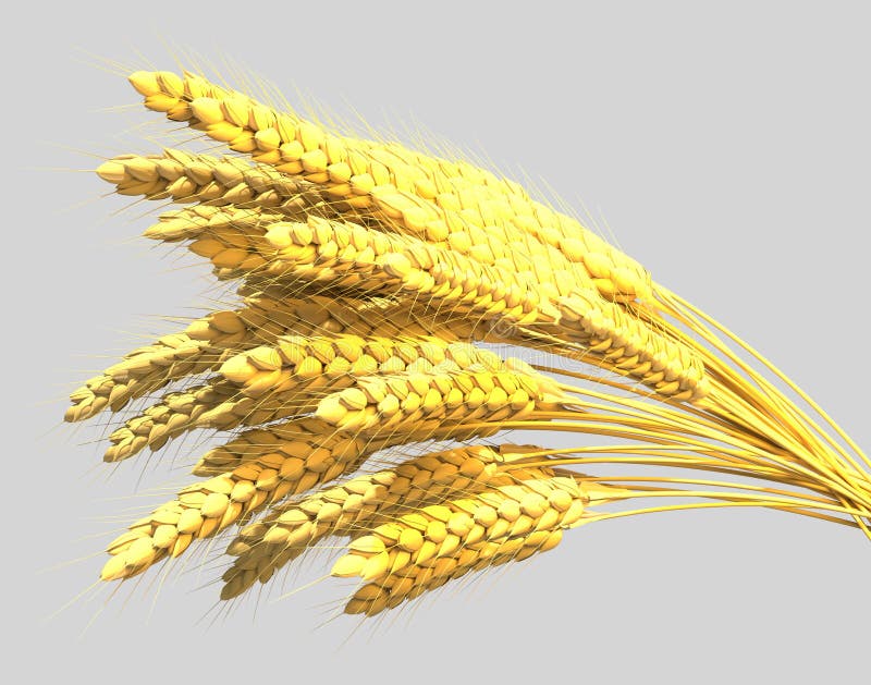 Gold Wheat Sheaf, Farm Yield Isolated - Design Nature 3D Rendering ...