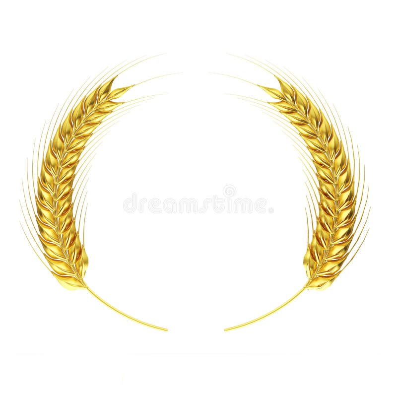 A Gold Wheat Wreath on a White Background Stock Illustration ...
