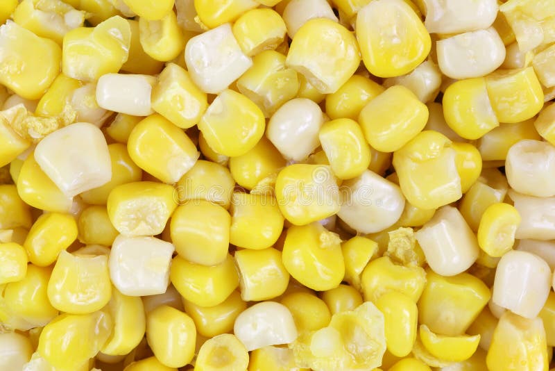Gold White Corn Kernels Up Close Stock Photo - Image of close, crispy ...