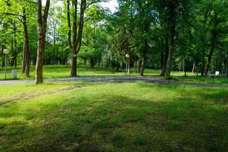 Goldberg in Selb stock photo. Image of sonnig, sonnenschein - 191048272