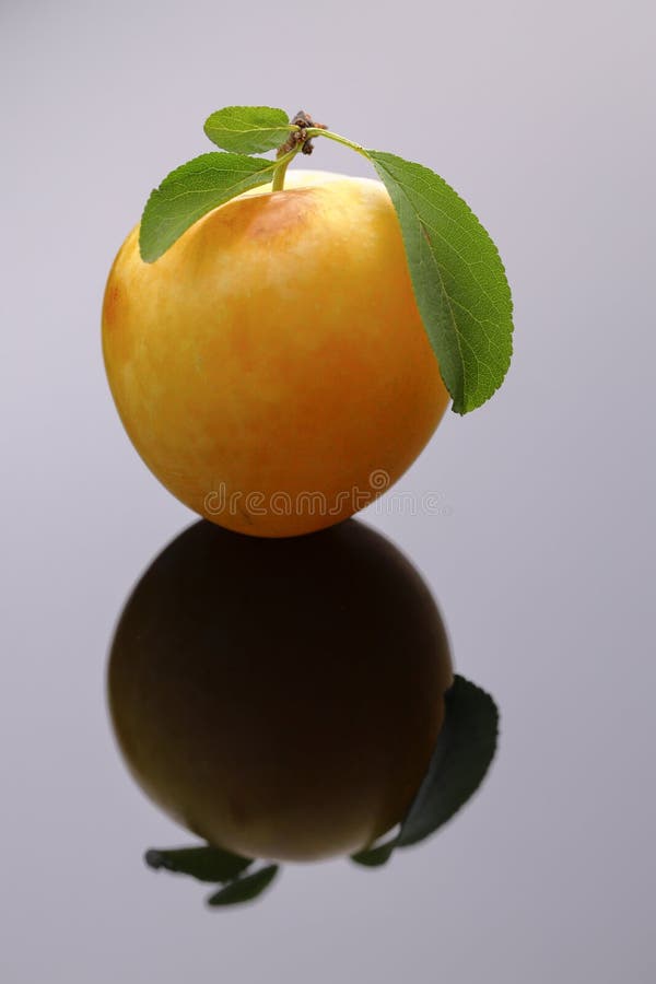 Golde Plum and Its Reflection Stock Photo - Image of nutrient, orange ...