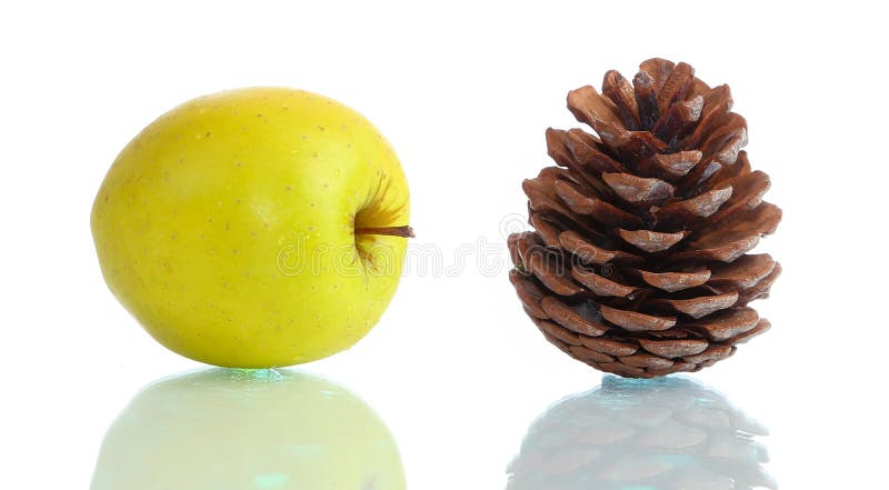 Golden Apple and Big Cone on Glass Surface Isolated Stock Photo - Image ...