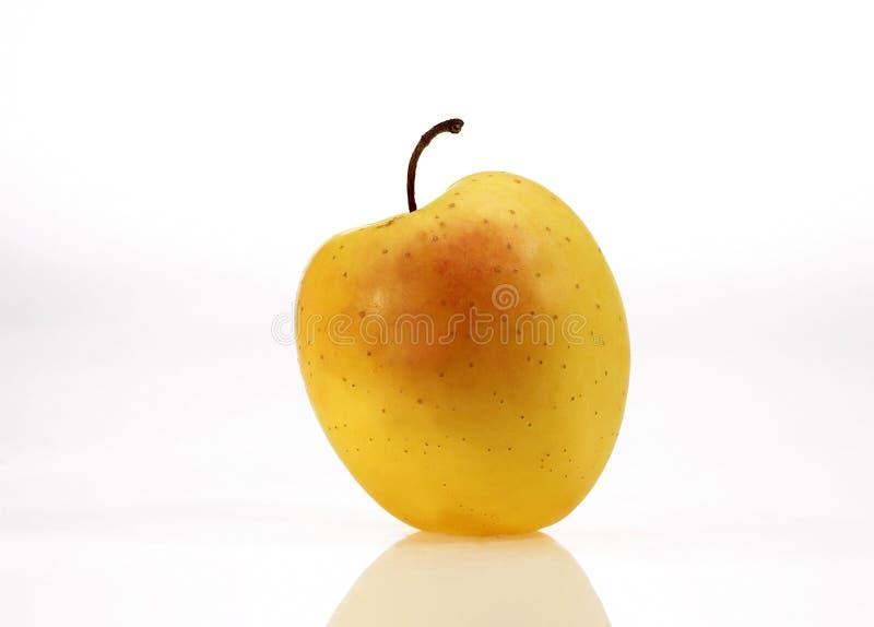 Golden Apple, Malus Domestica, Fruit Against White Background Stock ...