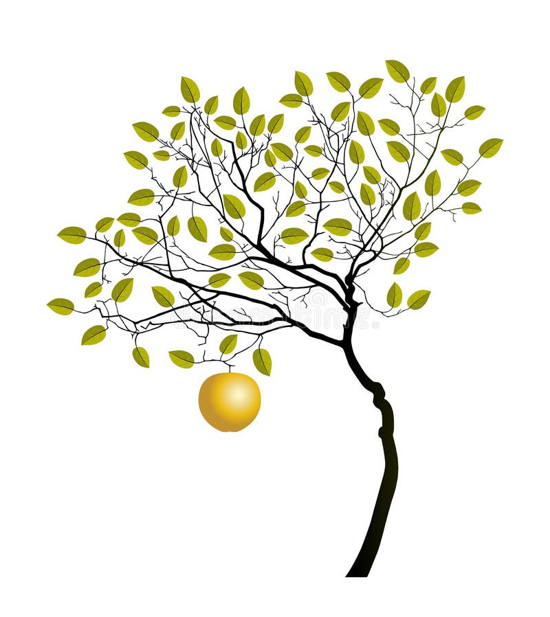 Golden Apple Tree Growing from Apple Stock Vector - Illustration of ...