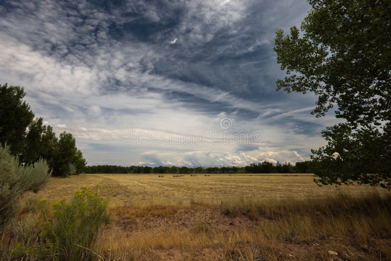 Golden August Farm Field stock image. Image of cloud - 285291179