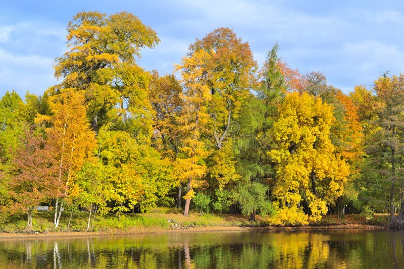 Golden autumn stock photo. Image of yellow, autumnal - 157383384