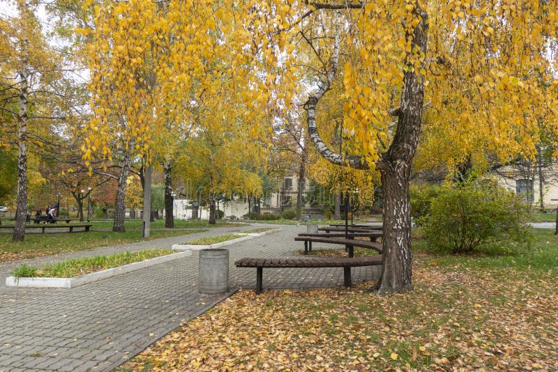 Autumn in the Kiev Polytechnic Park Stock Image - Image of falling ...