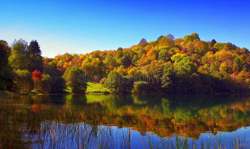Golden autumn landscape . stock photo. Image of color - 34956904