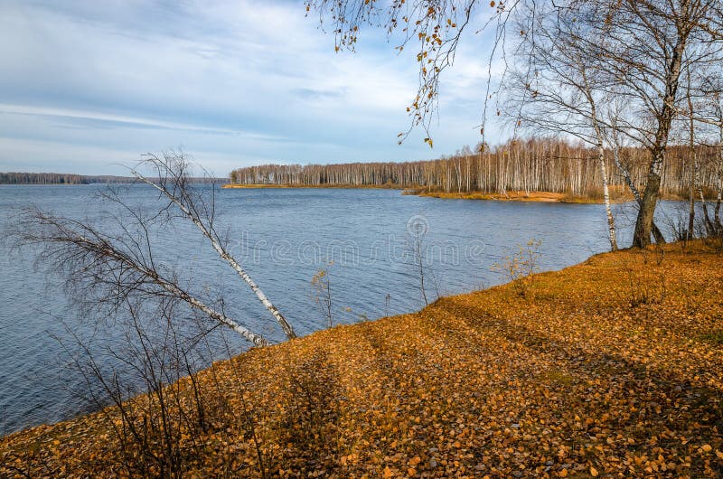 Golden autumn landscape stock image. Image of foliage - 79912237