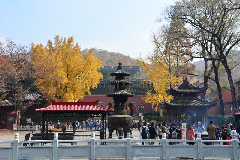 Golden autumn in nanjing editorial stock image. Image of ginkgo - 75653774