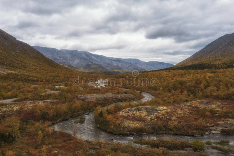 Golden Autumn in the North, Beyond the Arctic Circle, View of River ...