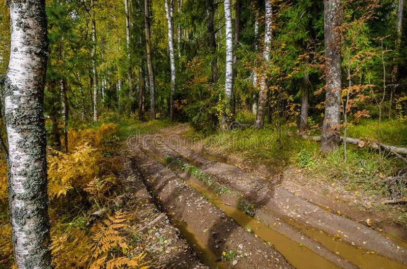 Golden autumn in October stock image. Image of landscape - 79163447