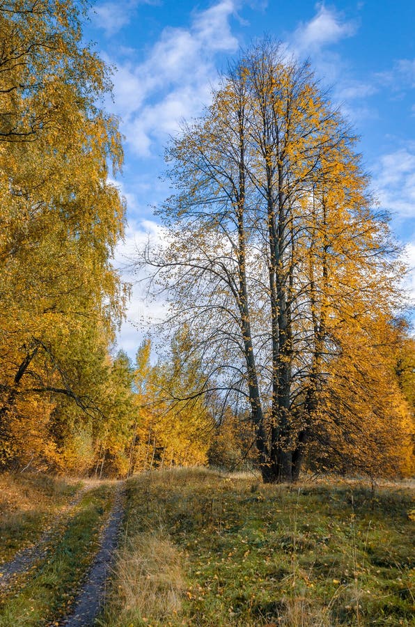 Golden autumn in October stock image. Image of space - 79192391
