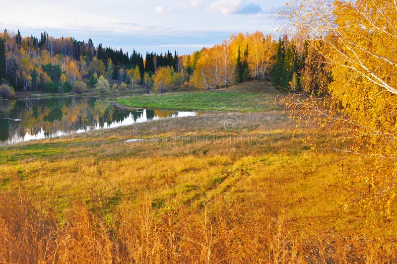 Golden autumn in Russia stock photo. Image of wood, russia - 93862548