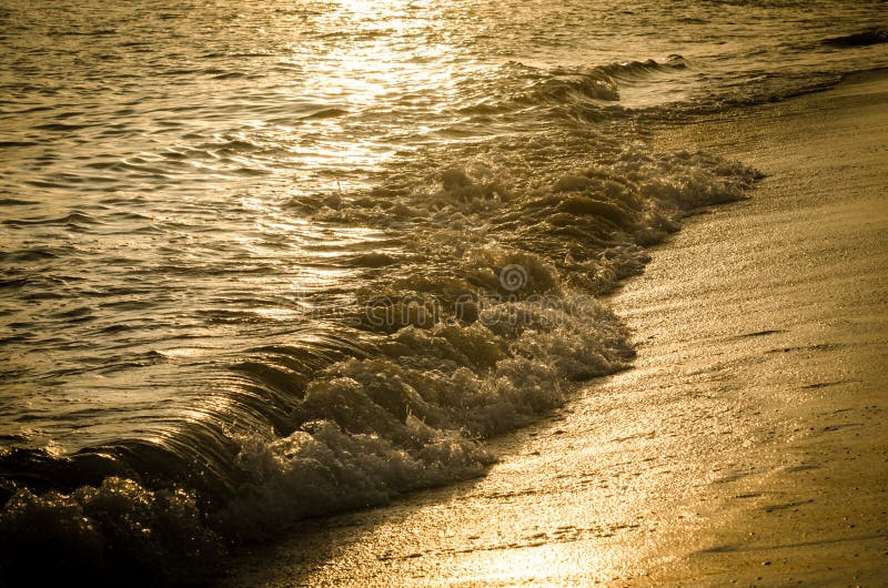 Golden beach stock image. Image of nature, orange, water - 45185679