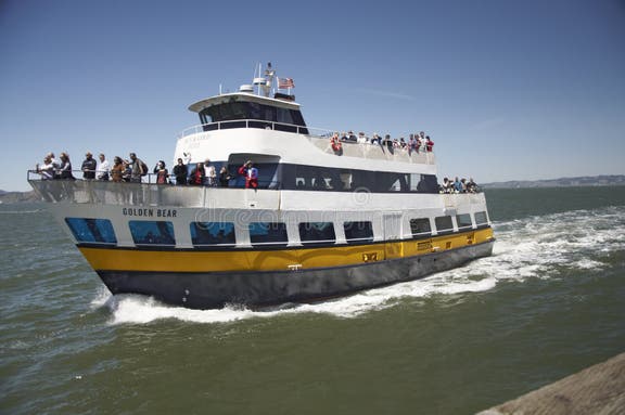 8,297 Golden Bear Coverages Stock Photos - Free & Royalty-Free Stock ...