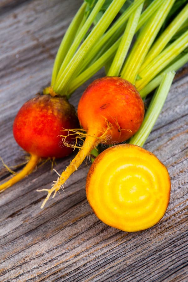Golden Beets Raw on Rustic Wood Background Stock Image - Image of ...
